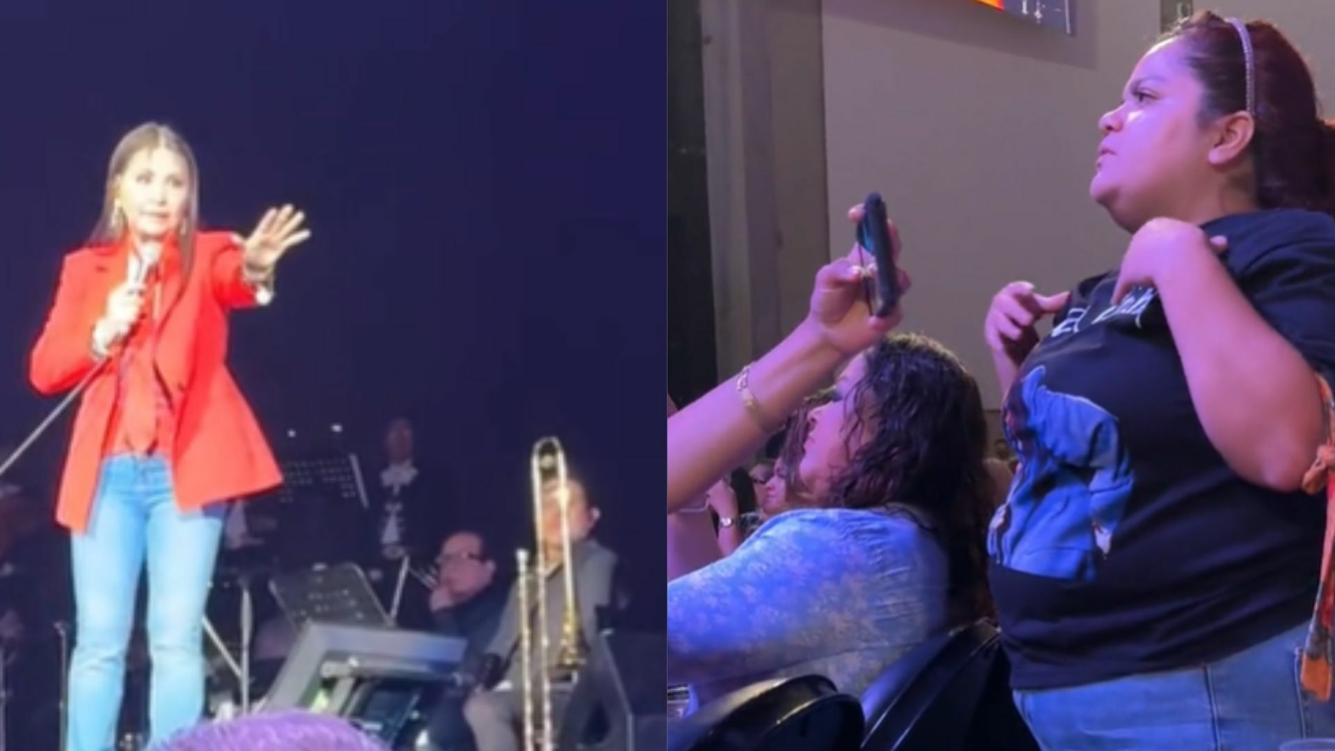Ana Gabriel genera controversia por petición a fanática en concierto ...