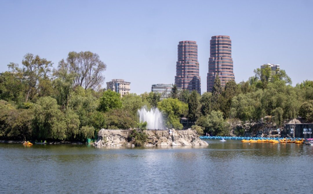 Estas son las actividades del Festival del Bosque de Chapultepec 2025 ...